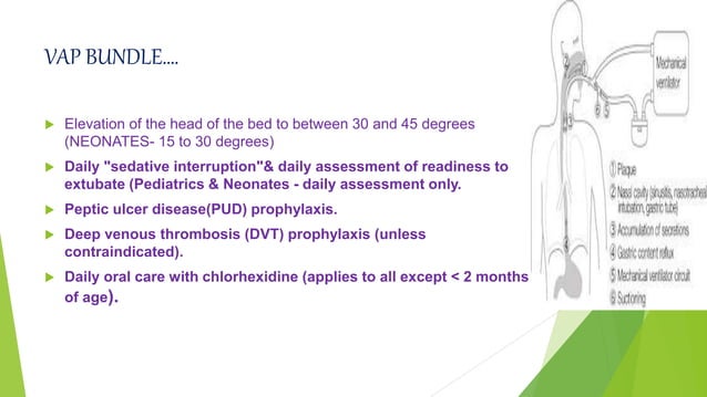 HOSPTAL ACQUIRED PNEUMONIAE , PREVENTION AND MANAGEMENT PROTOCALS ...