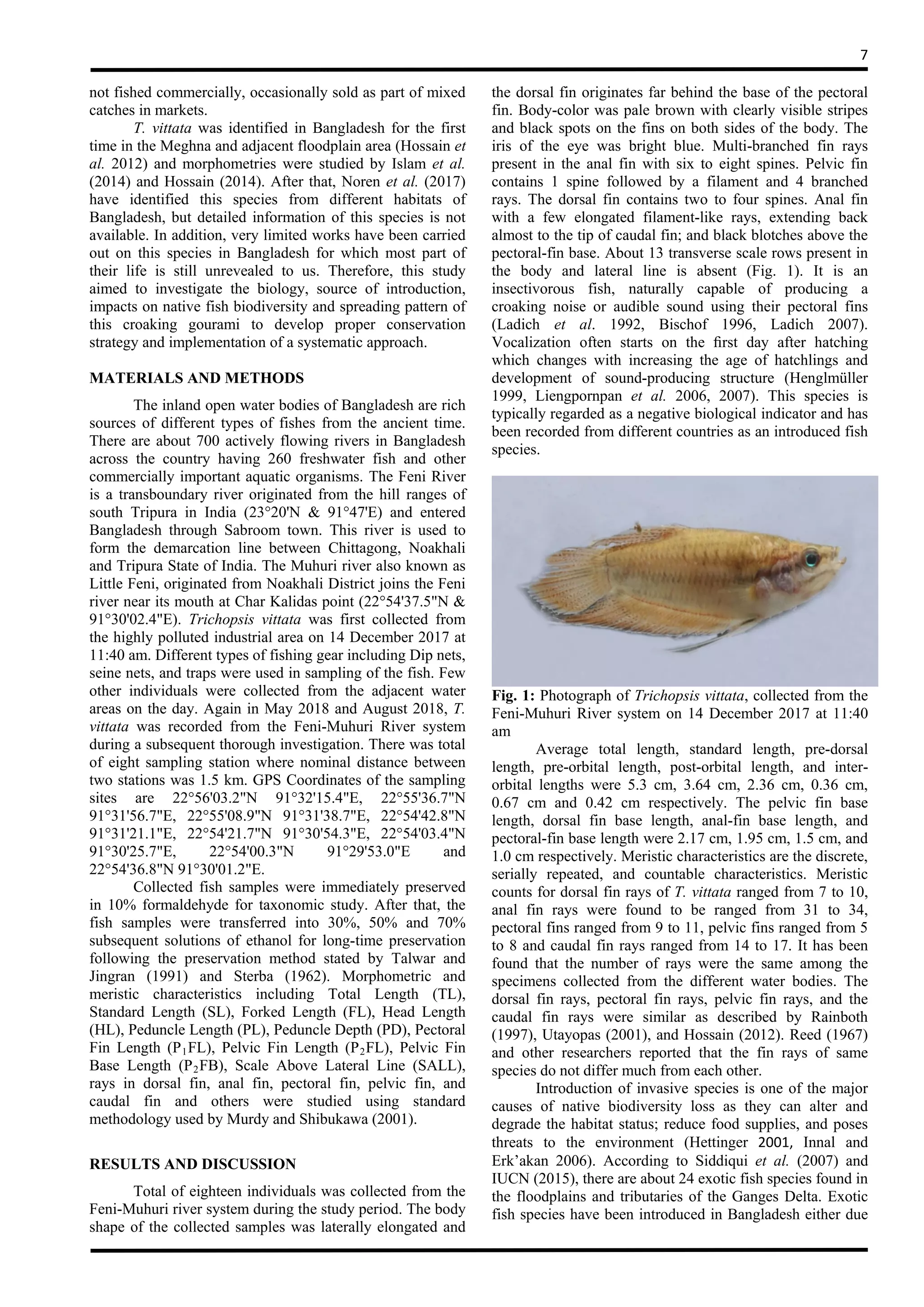 First record of invasive croaking gourami, Trichopsis vittata (Cuvier ...