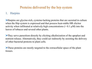 Host bacterial pathogen interaction | PPTX