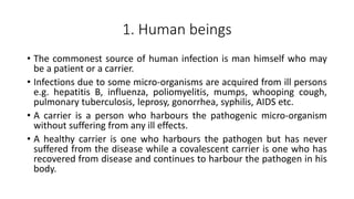 Host microbe interactions | PPTX