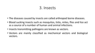 Host microbe interactions | PPTX