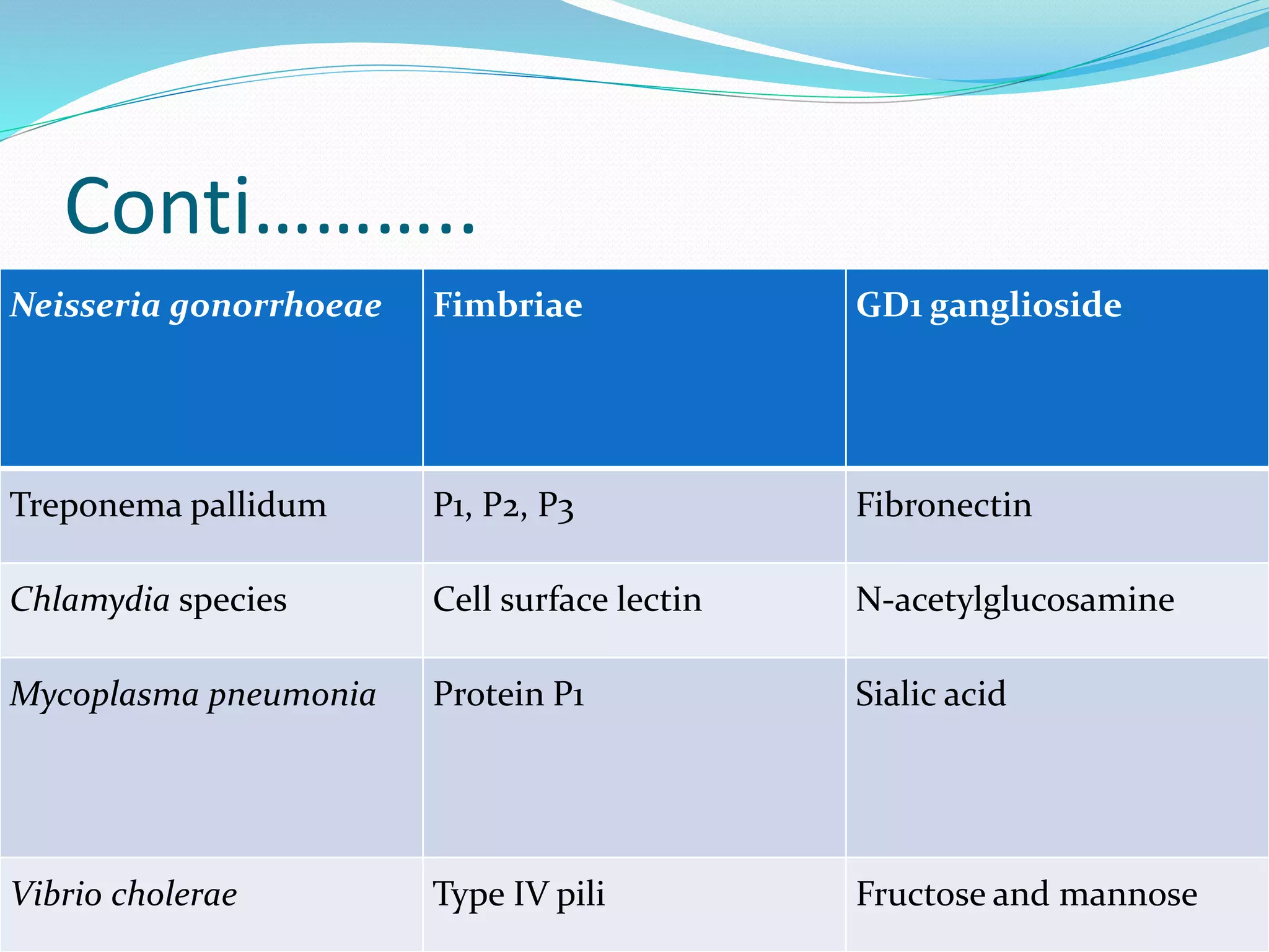 Host-microbe Relationship and Disease Process. lecture 2 Chapter.pptx