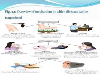 Host-microbe Relationship and Disease Process. lecture 2 Chapter.pptx