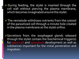 Host nematode interaction | PPTX