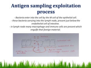 Host parasite relationship | PPTX