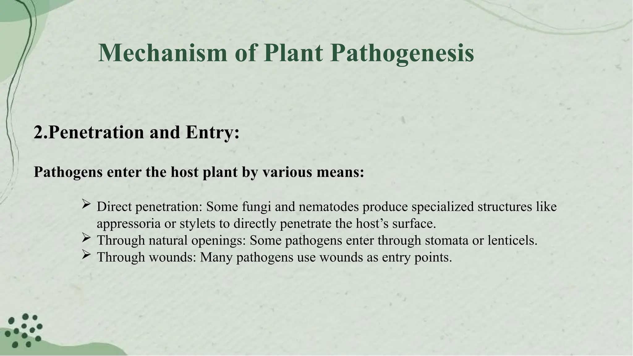Host - Parasite Relationships in plants | PPTX
