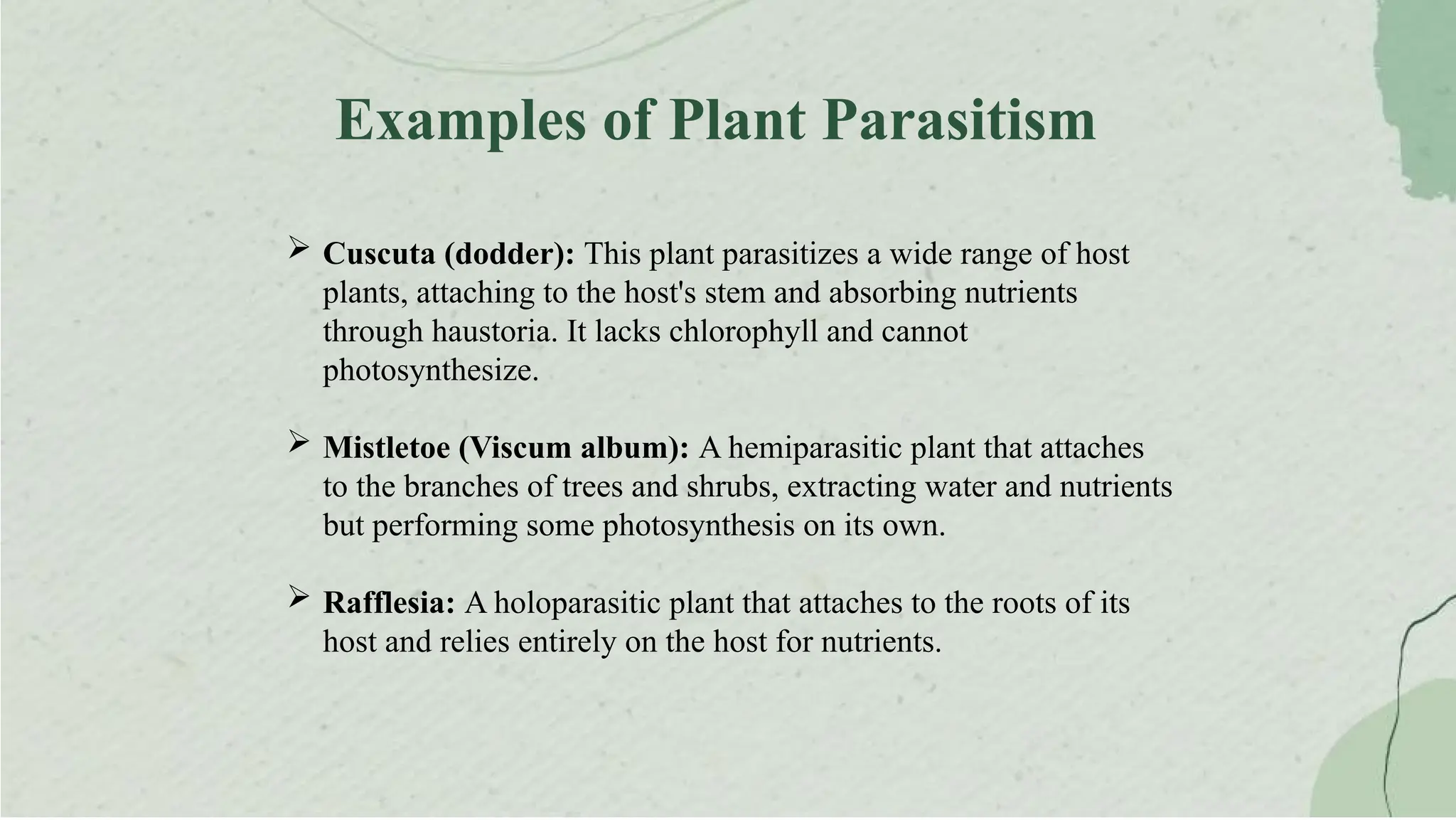 Host - Parasite Relationships in plants | PPTX