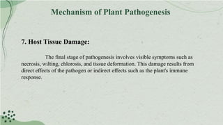 Host - Parasite Relationships in plants | PPTX
