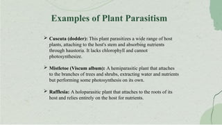 Host - Parasite Relationships in plants | PPTX