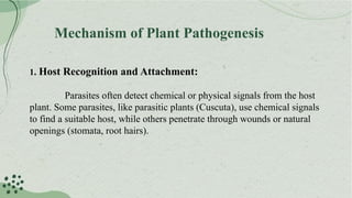 Host - Parasite Relationships in plants | PPTX
