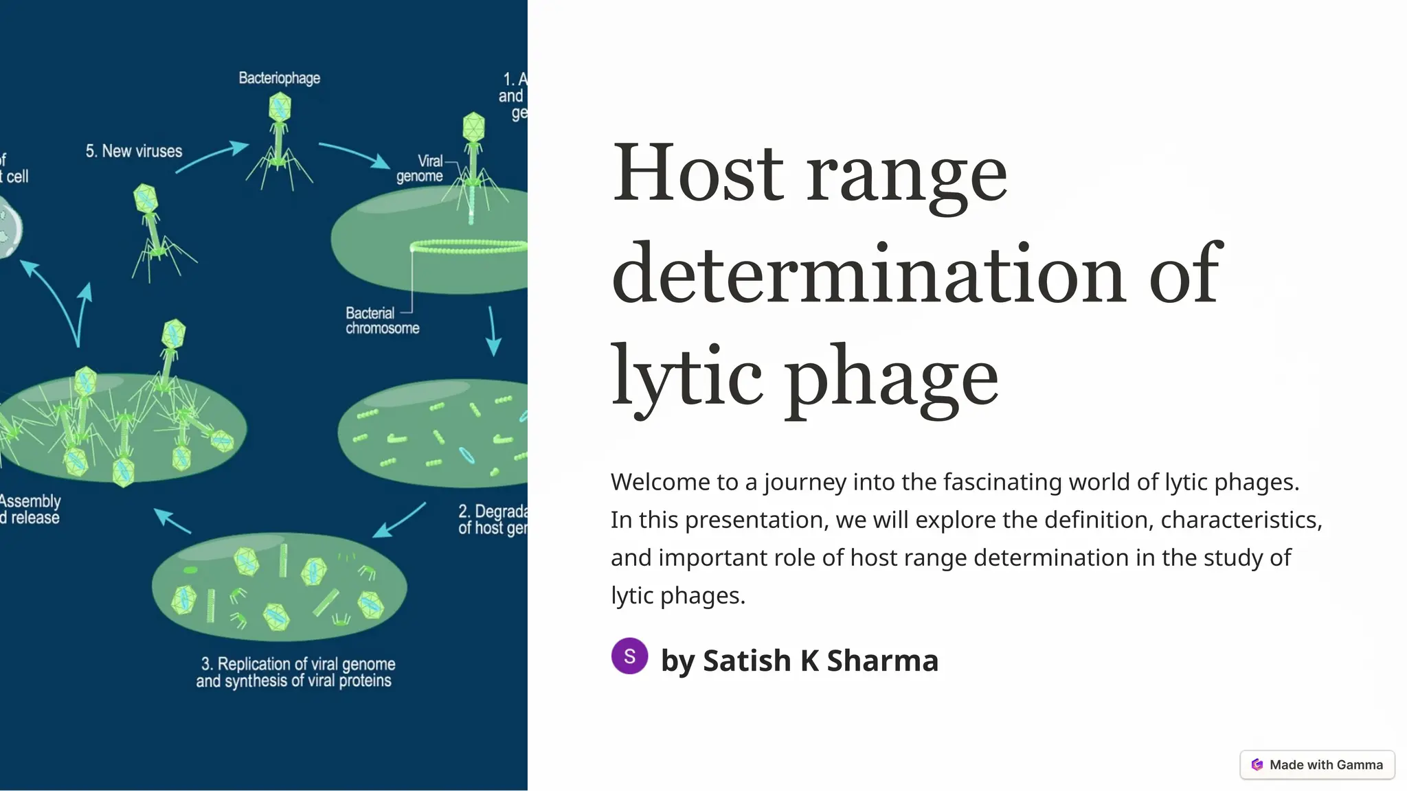 Host-range-determination-of-lytic-phage.pptx