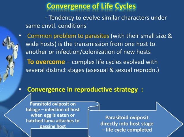 Host and parasite interaction | PPTX