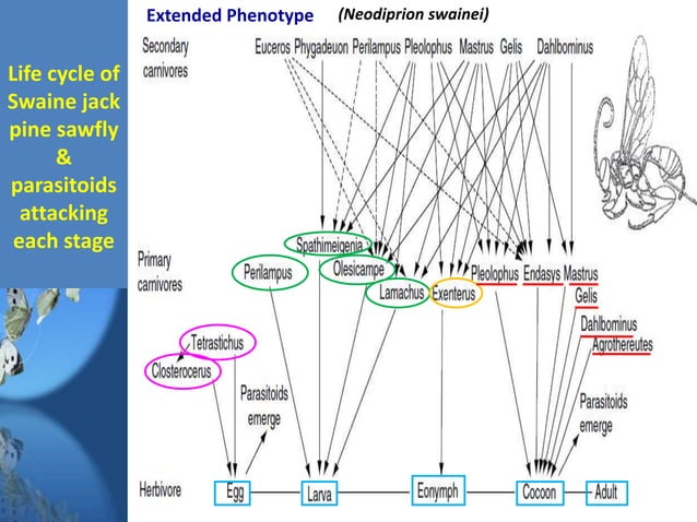 Host and parasite interaction | PPTX