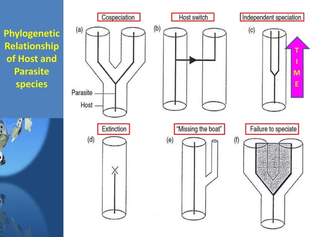 Host and parasite interaction | PPTX