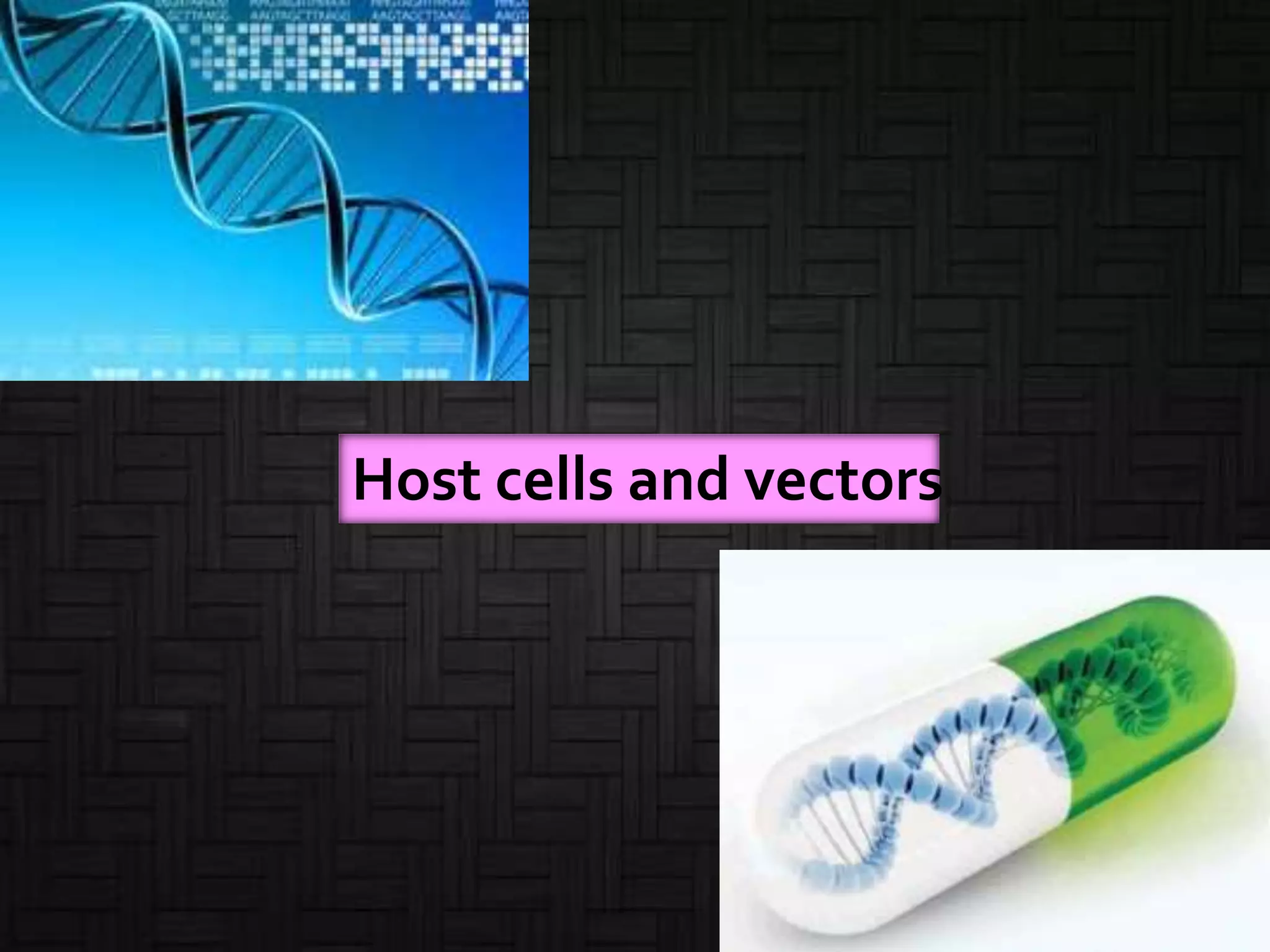 Host cell and vectors | PPTX