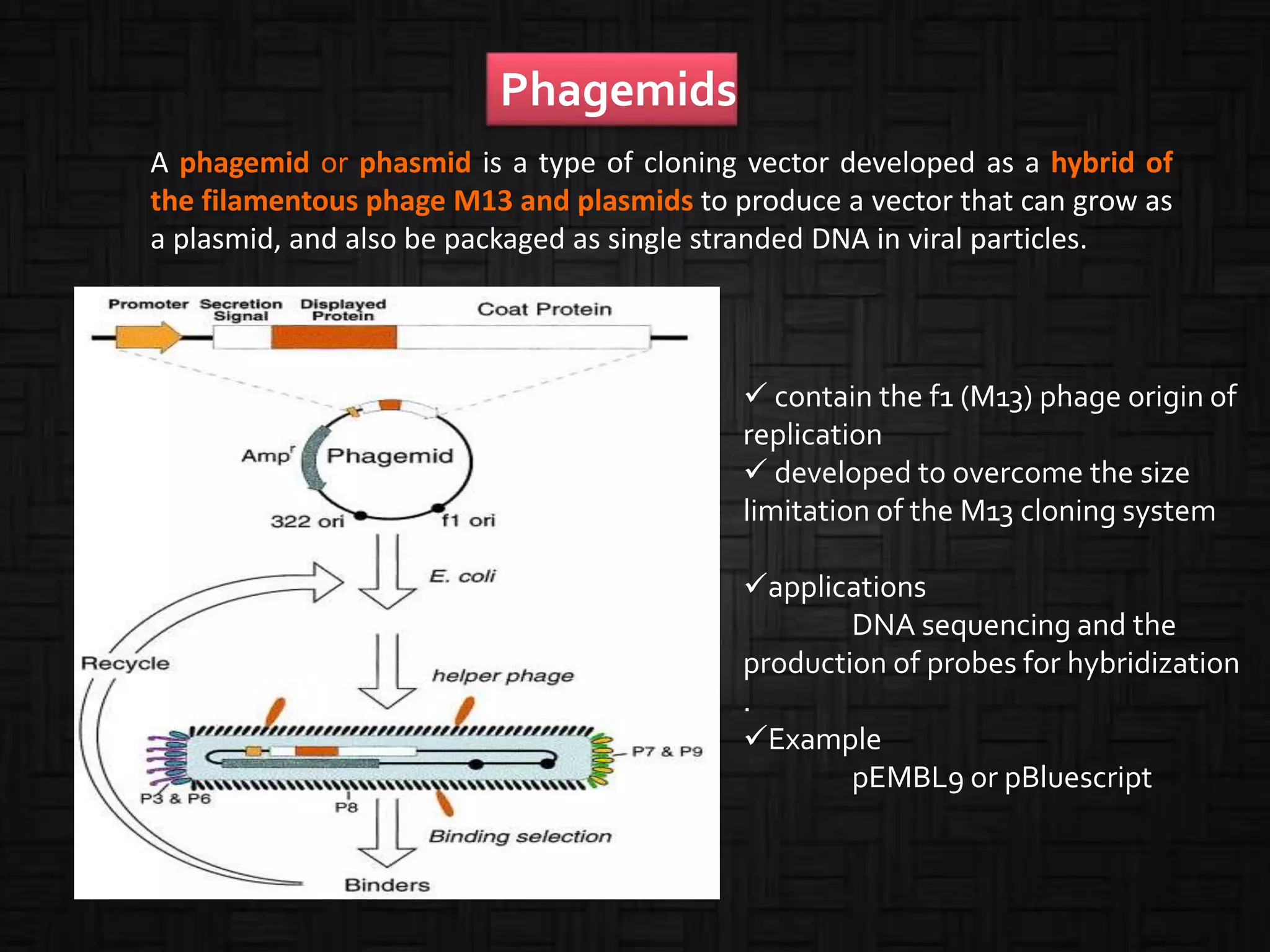 Host cell and vectors | PPTX