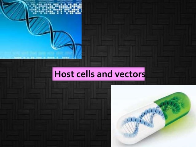 Host cell and vectors | PPTX | Biotech and Biomedical Industry | Industries
