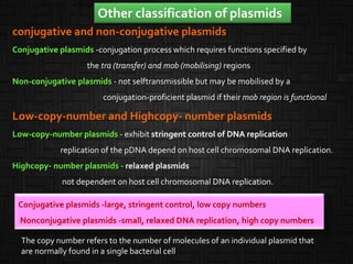 Host cell and vectors | PPTX