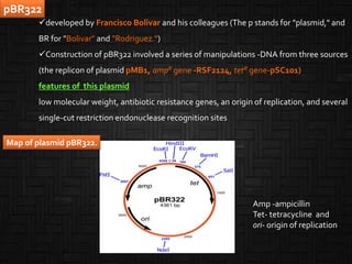 Host cell and vectors | PPTX