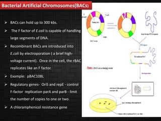 Host cell and vectors | PPTX
