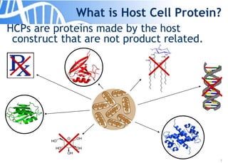 Host Cell Protein Analysis - Measuring the Forest, or Counting theTrees ...