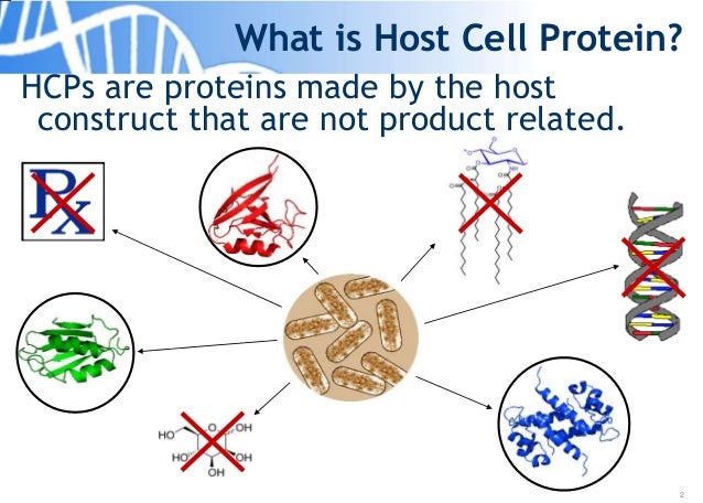 Host Cell Protein Analysis - Measuring the Forest, or Counting theTre…