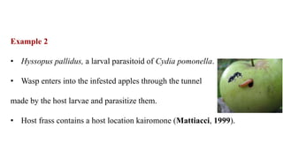 Host Finding Behavior of Insects | PPTX | Gardening | Home & Garden