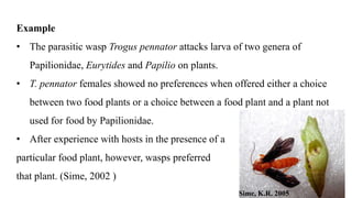 Host Finding Behavior of Insects | PPTX | Gardening | Home & Garden