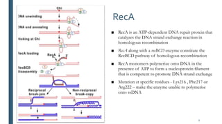 Host gene mutations | PPTX