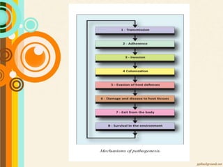 Host microbe interaction | PPTX