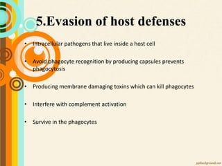 Host microbe interaction | PPTX
