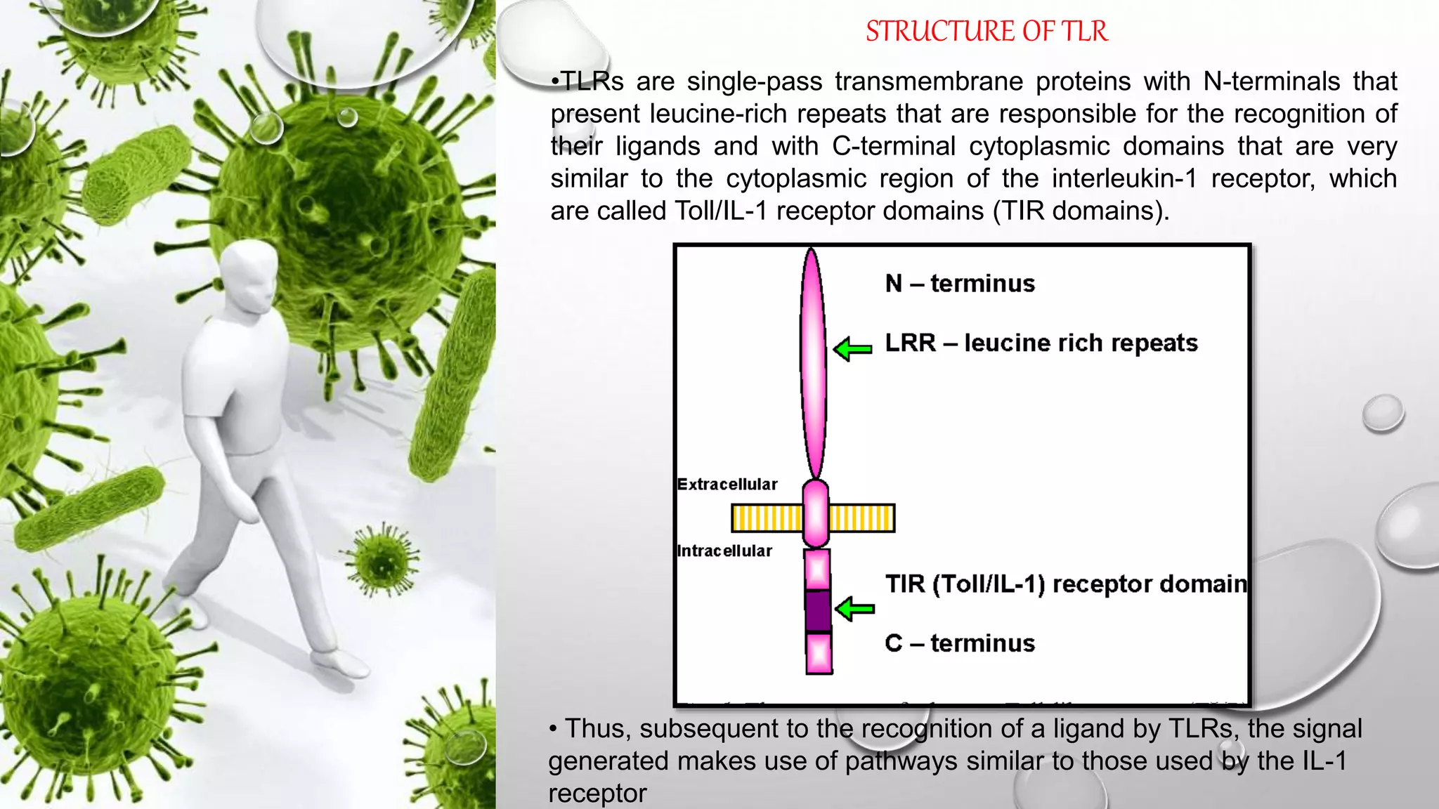 Host microbial interaction in periodontal disease | PPTX