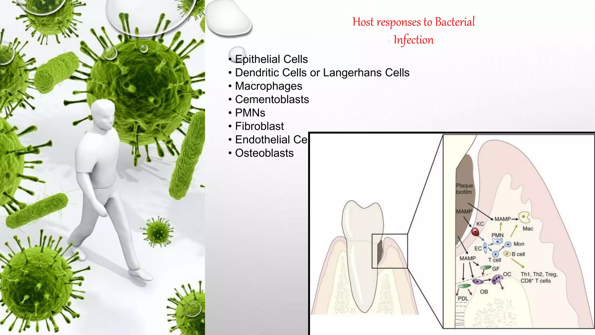 Host microbial interaction in periodontal disease | PPTX