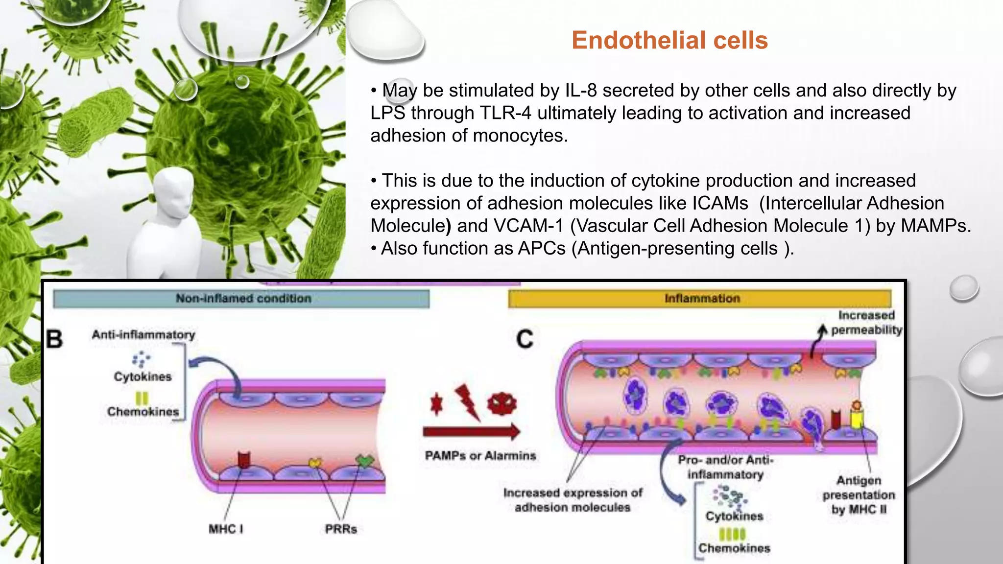 Host microbial interaction in periodontal disease | PPTX