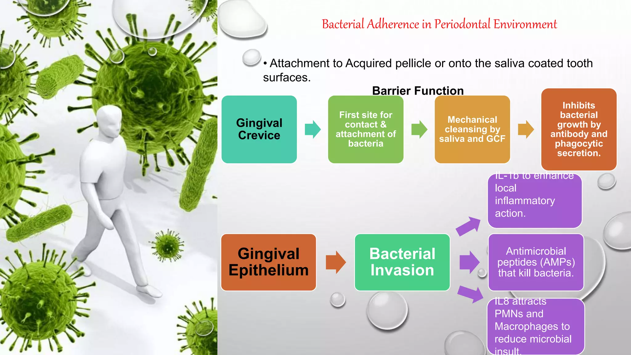 Host microbial interaction in periodontal disease | PPTX