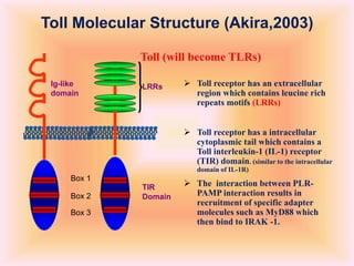Host microbial interaction part 2 | PPTX
