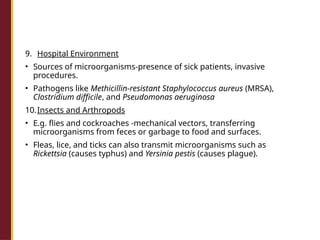 Host Microorganisms relationship.pptxtso | PPT