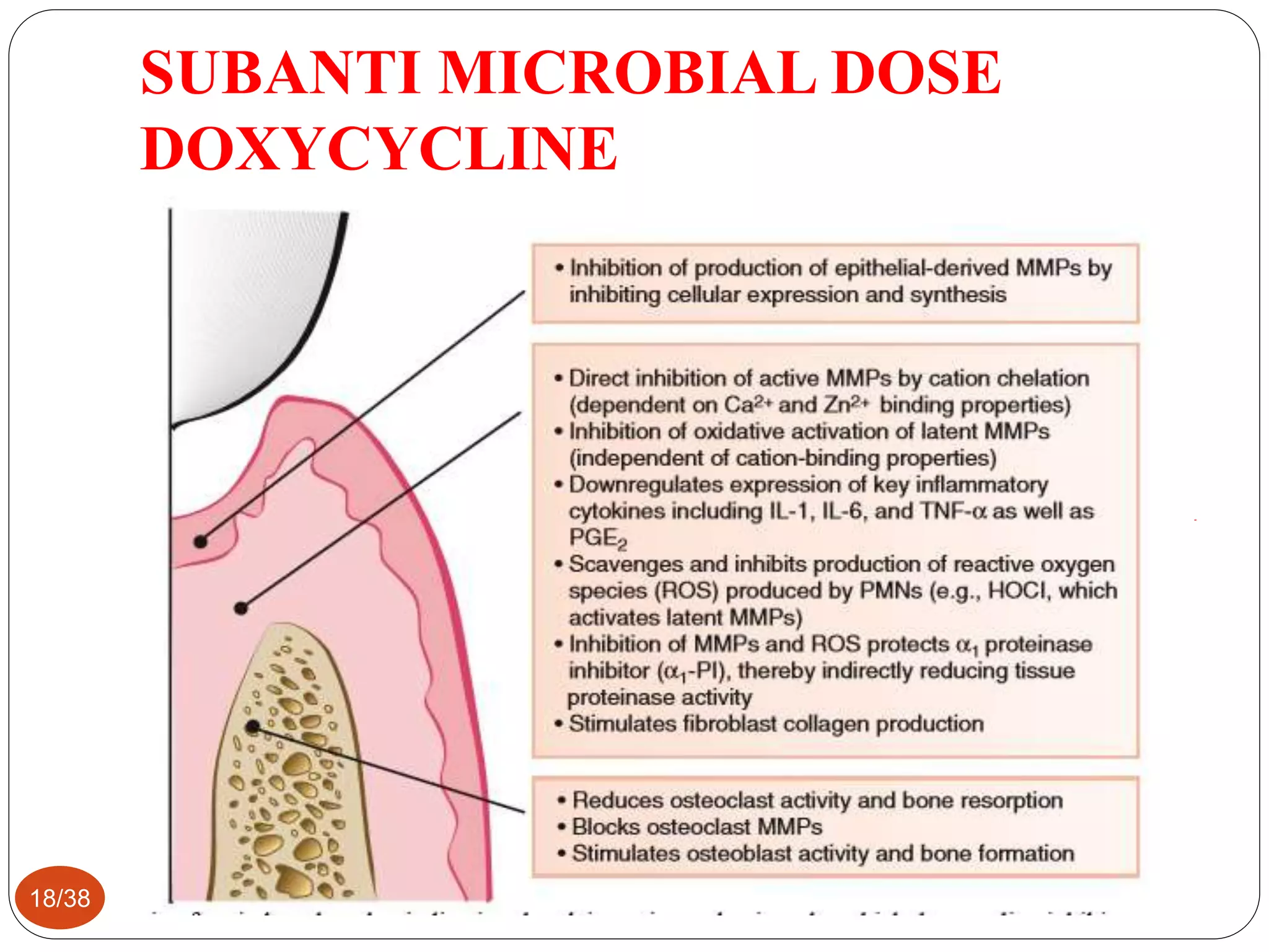 Host modulation therapy | PPTX