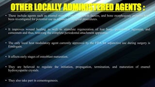 Host Modulation Therapy (HMT).pptx