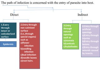 Host parasite relationship ,interaction & mechanism of | PDF