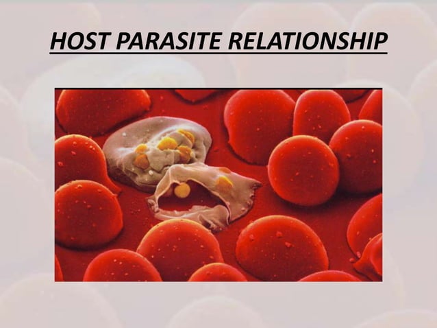 Host parasite relationship | PPTX