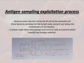 Host parasite relationship | PPTX