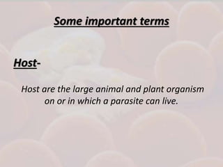 Host parasite relationship | PPTX