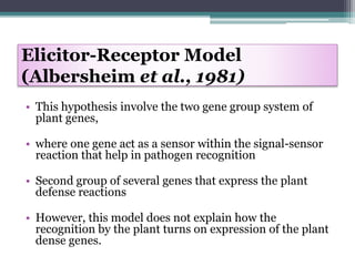 Host pathogen interaction plants | PPTX