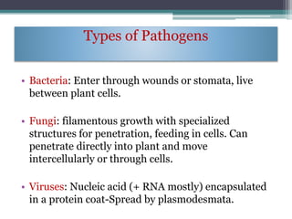 Host pathogen interaction plants | PPTX