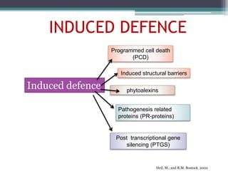 Host pathogen interaction plants | PPTX