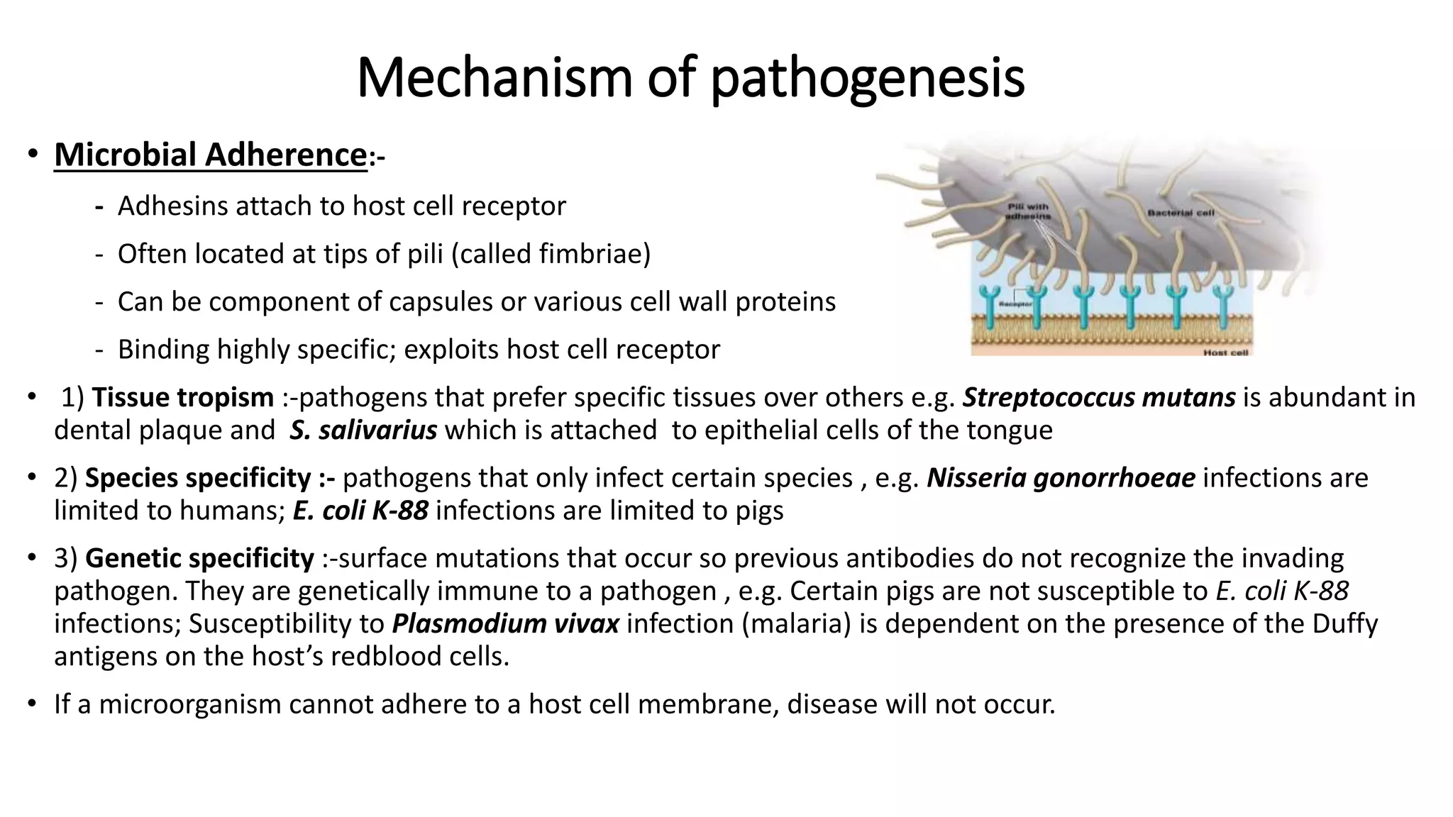host pathogen interaction, Mechanism of pathogenesis | PPTX
