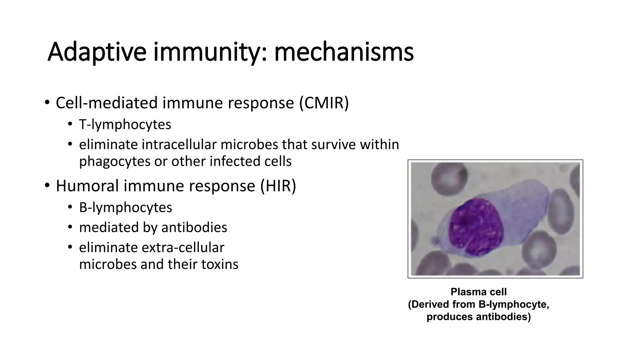host pathogen interaction, Mechanism of pathogenesis | PPTX