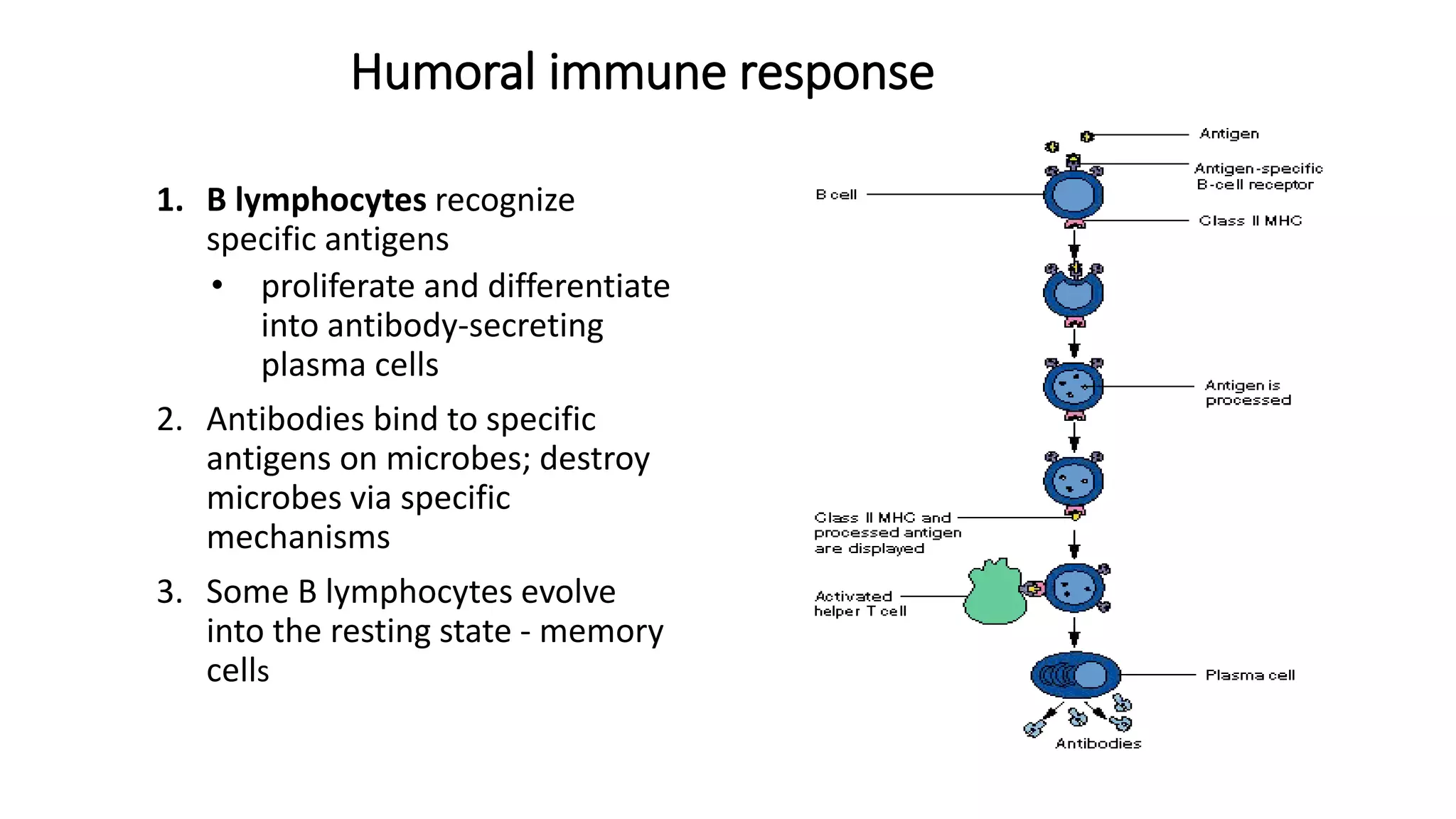 host pathogen interaction, Mechanism of pathogenesis | PPTX