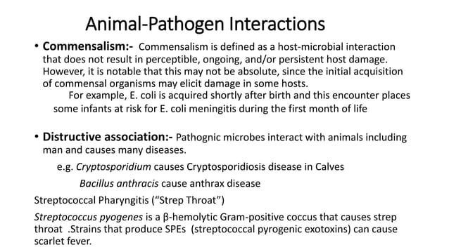 host pathogen interaction, Mechanism of pathogenesis | PPTX